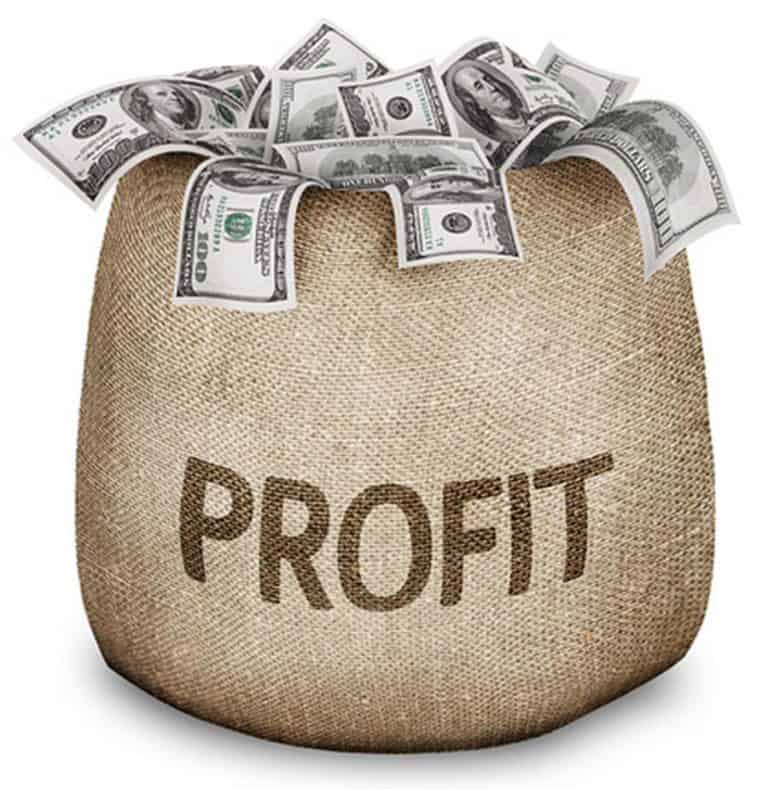 Profit Money Bag – Productivity Engineering Services LLC